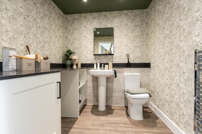 Salden Place East, Milton Keynes by Taylor Wimpey
